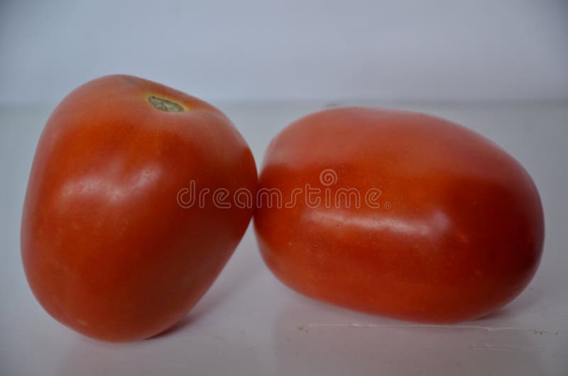 Two Red Colour Bright Tomato are Fresh and Nutritious Stock Photo ...
