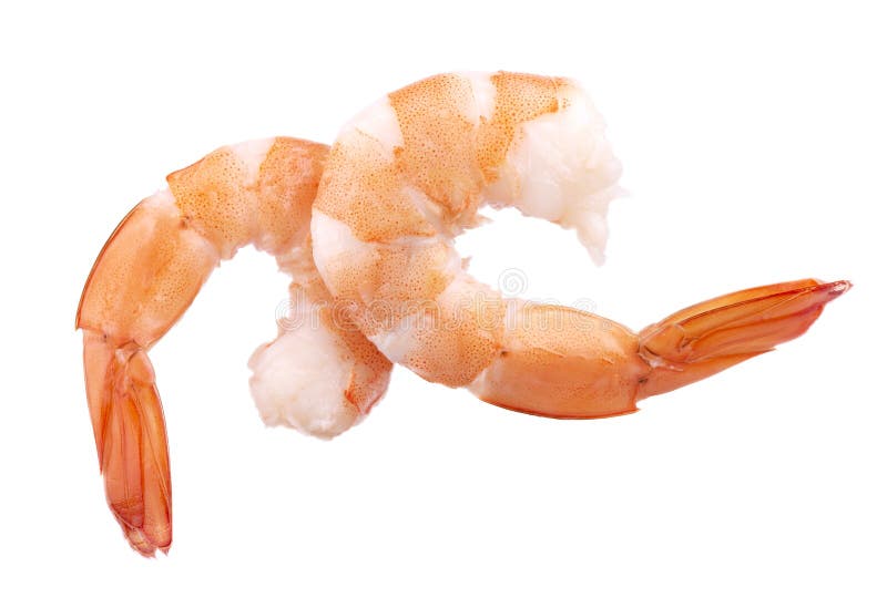 Two Red Cooked Prawn or Tiger Shrimp Isolated on White Background Stock ...