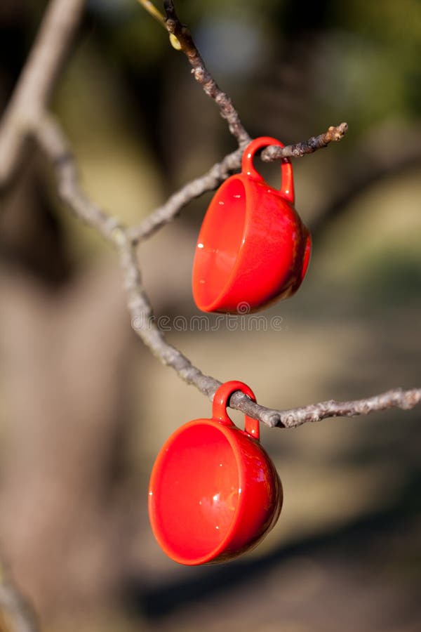 Two red cups on a tree stock image. Image of color, refreshment - 25846683