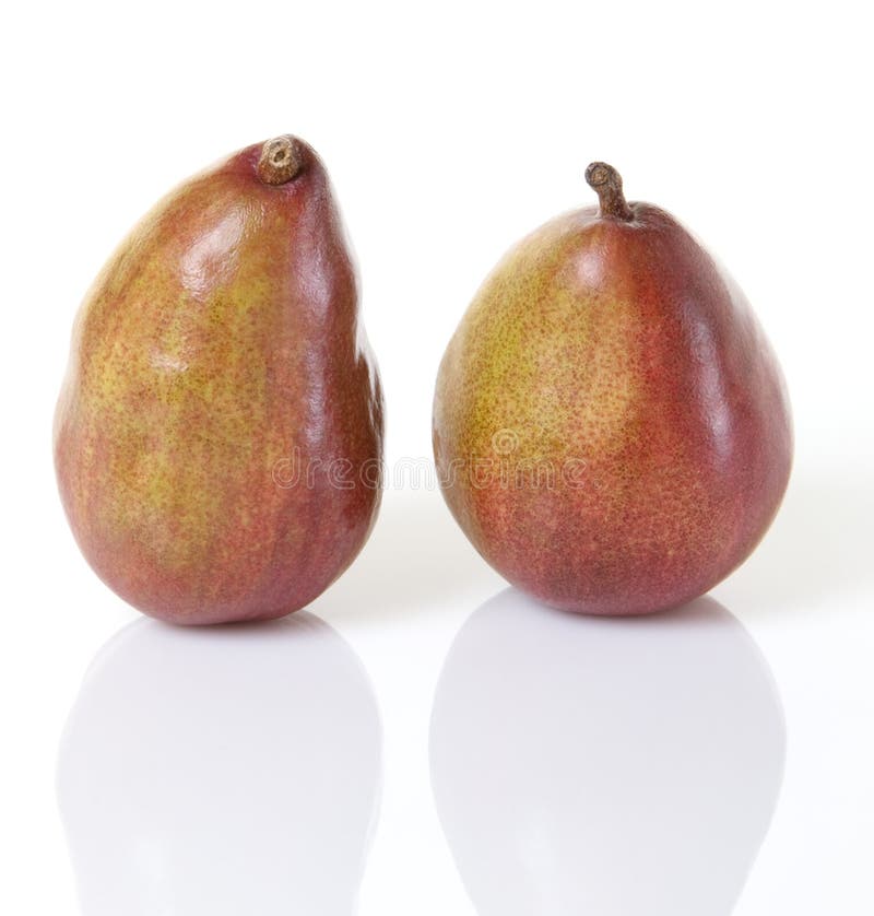 Two Red D Anjou Pears Isolated Stock Image - Image of pears, juicy: 9188139