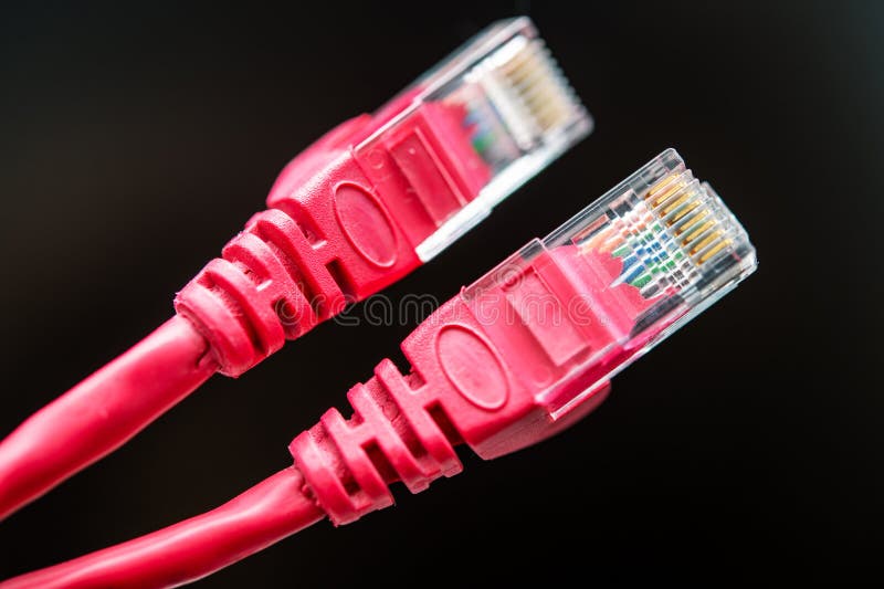 Close-up View of Red Ethernet Cables Illustrating Network Connectivity ...