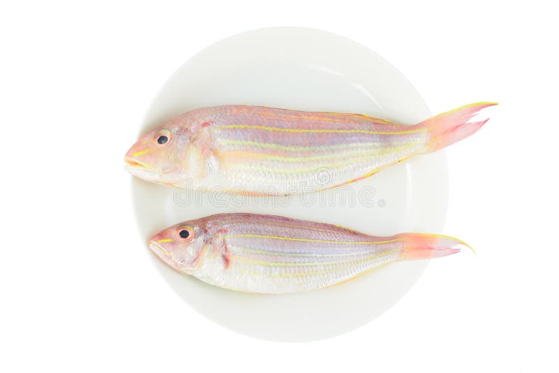 Two red fresh fish stock image. Image of tail, market - 33158061