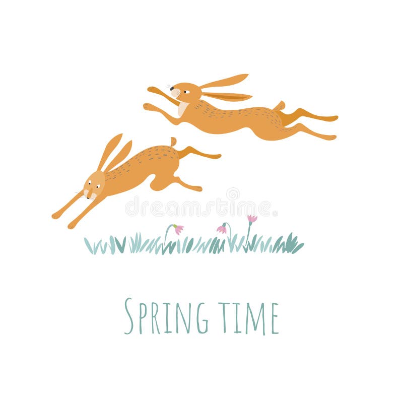 Two Red Hares are Running through the Fields. Fun Rabbits. Spring Time ...