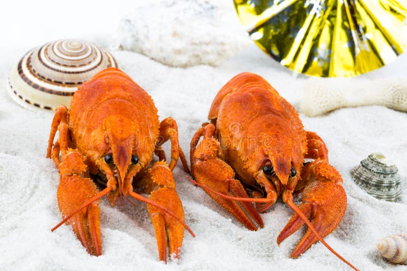 Two Cooked Lobsters Stock Photos - Free & Royalty-Free Stock Photos ...