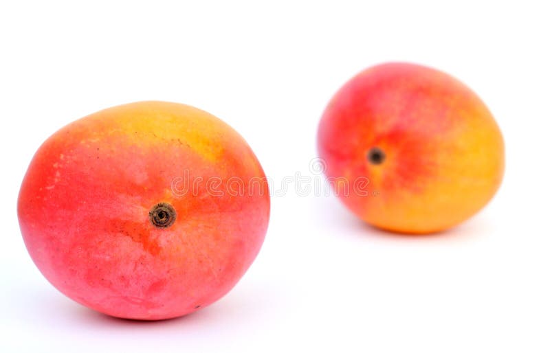 Two mangoes on white stock image. Image of natural, fresh - 30296527