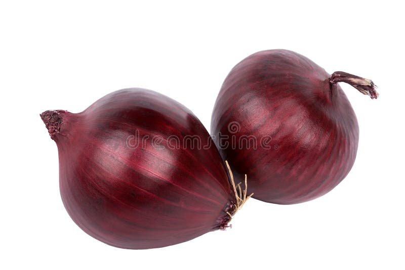 Two red onion bulbs stock photo. Image of spice, foodstuff - 16666634