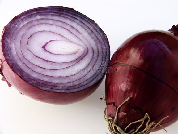 Two red onions stock photo. Image of onion, natural, closeup - 1430974