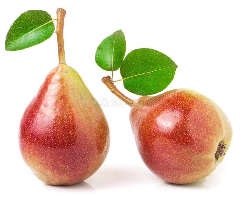 Two Red Pears with Leaf Isolated on White Background Stock Photo ...