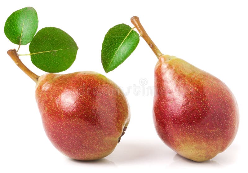 Two Red Pears with Leaf Isolated on White Background Stock Photo ...