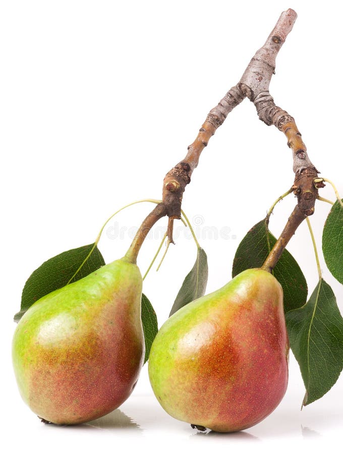 Two Red Pears with Leaves Isolated on White Background Stock Photo ...