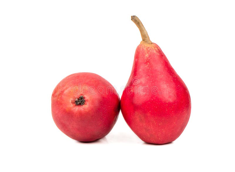 Two red pears stock photo. Image of healthy, nature - 108114278