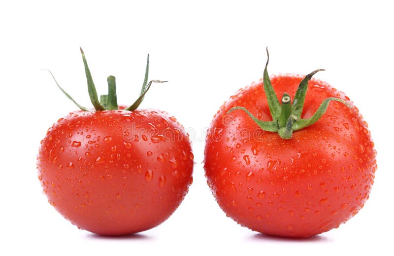 Two Red Ripe Tomatoes Isolated Stock Photo - Image of nature, juicy ...