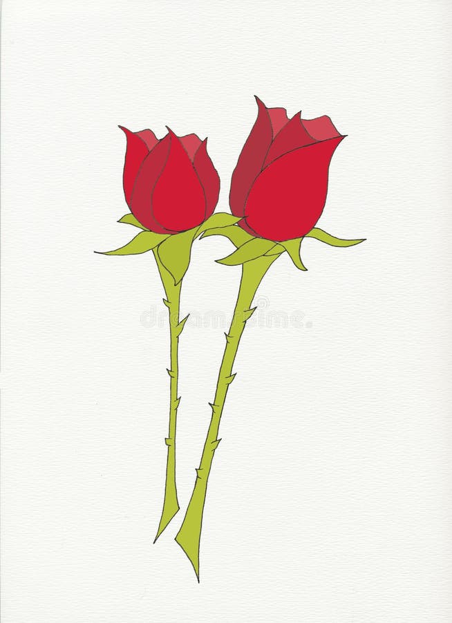 Two red roses stock illustration. Illustration of background - 3514188