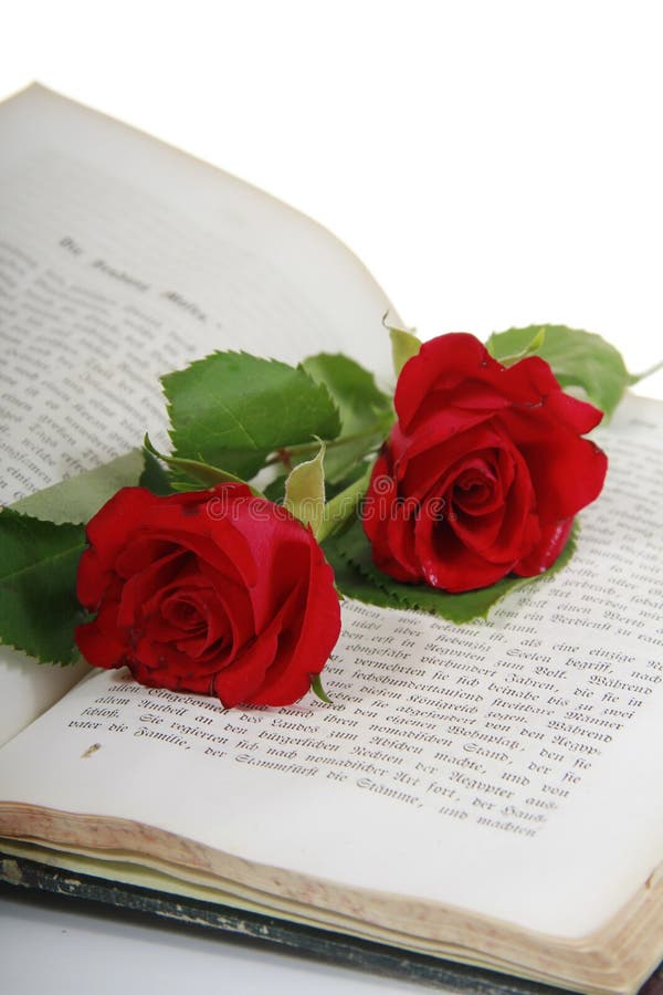 Two Red Roses in an Old Book Stock Image - Image of romantic ...