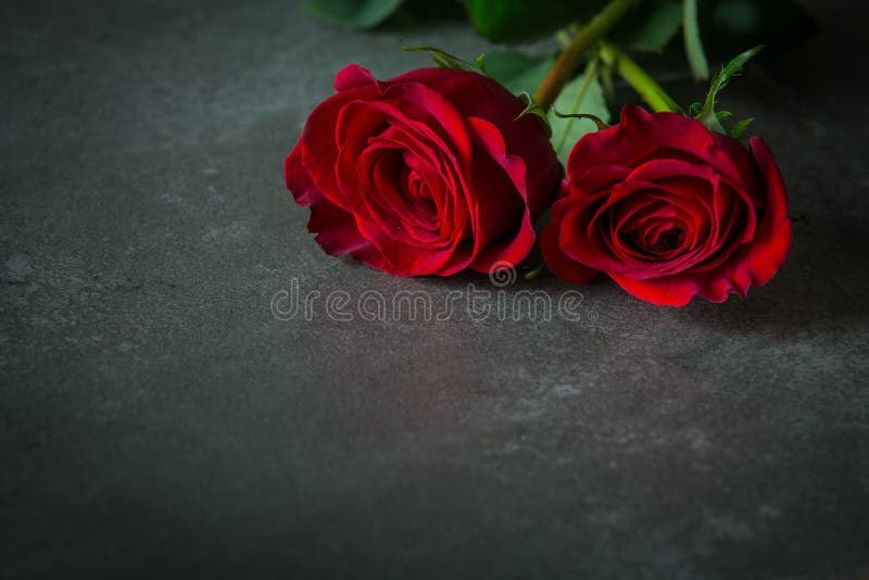 Two Red Roses on Slate Tile Stock Photo - Image of roses, decorative ...