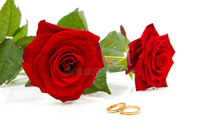 Ring And Rose Background