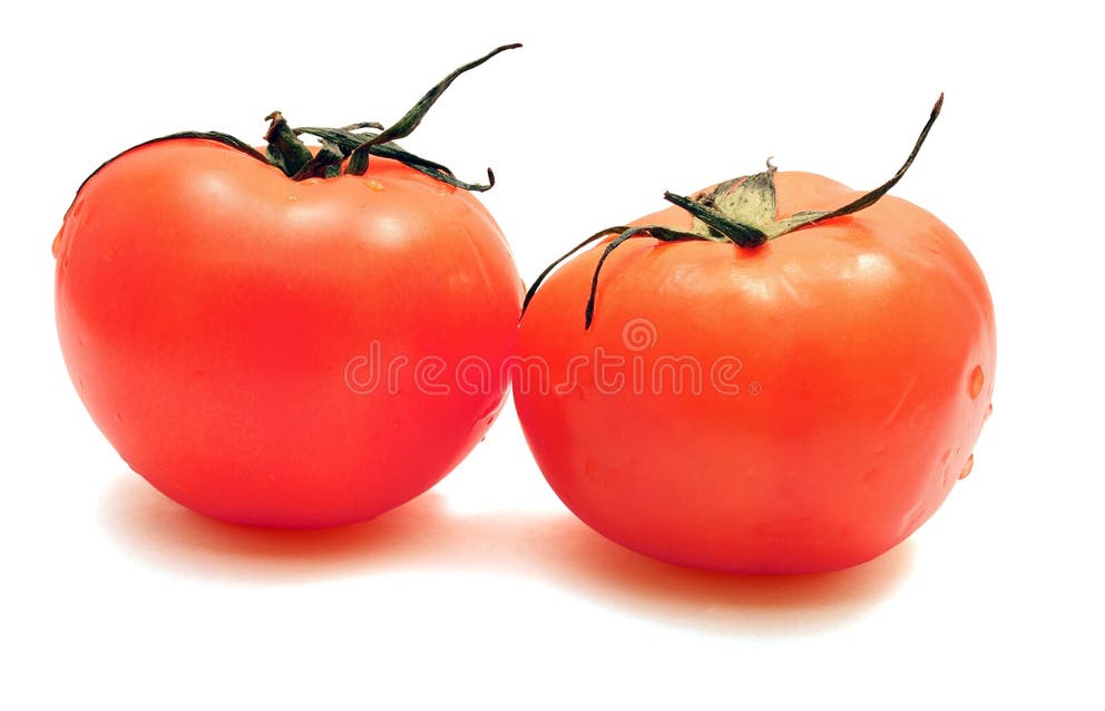 Two red tomatoes stock photo. Image of fresh, shadow - 12180708
