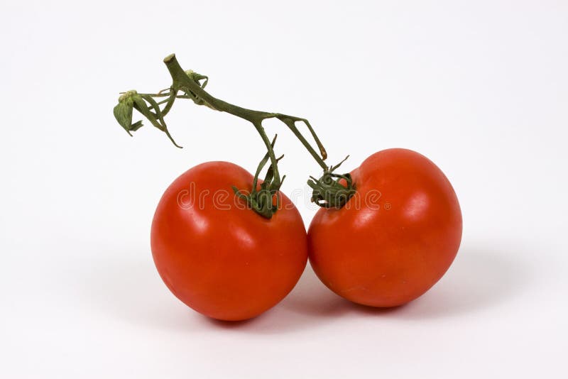 Two red tomatoes stock image. Image of green, garden - 13055831