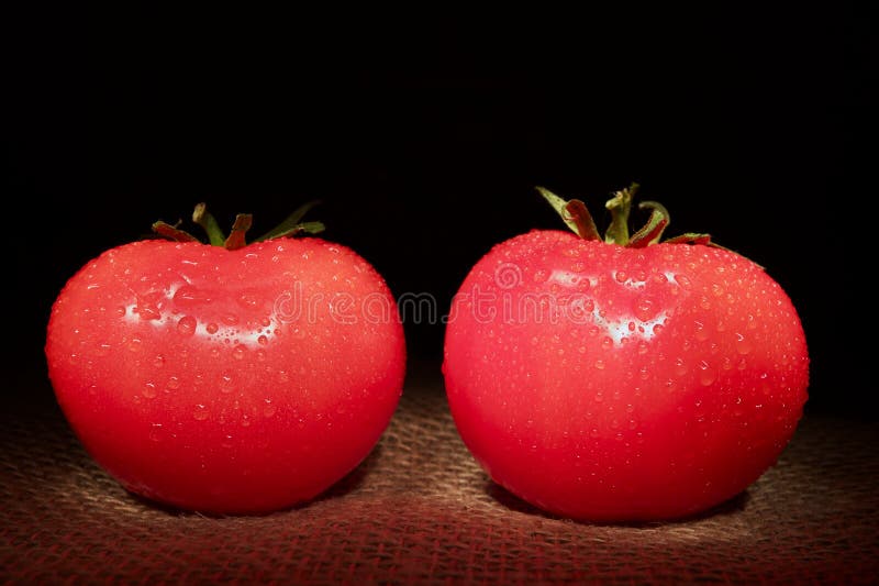 Two Red Tomatoes on Black Background Stock Photo - Image of cultivate ...