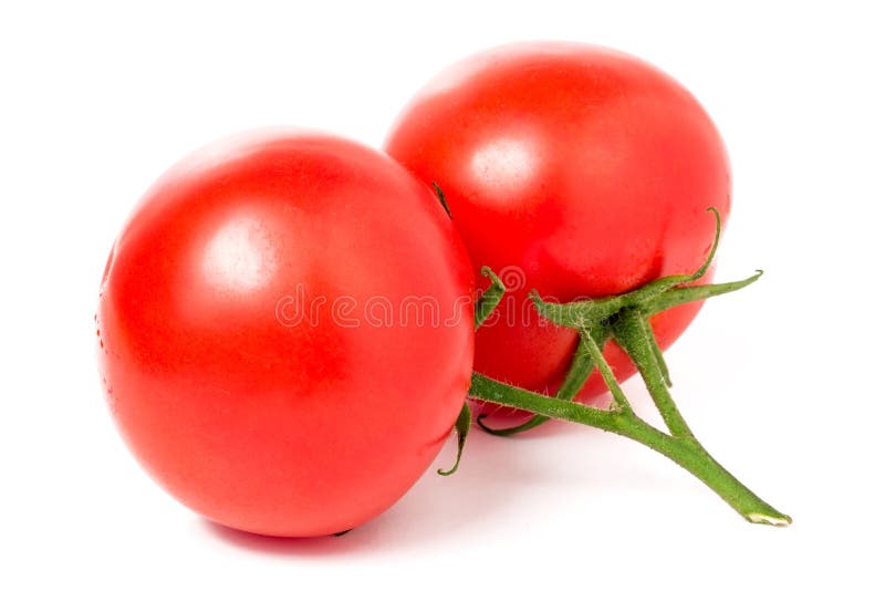 Two Red Tomatoes on a Branch Isolated White Background Stock Image ...
