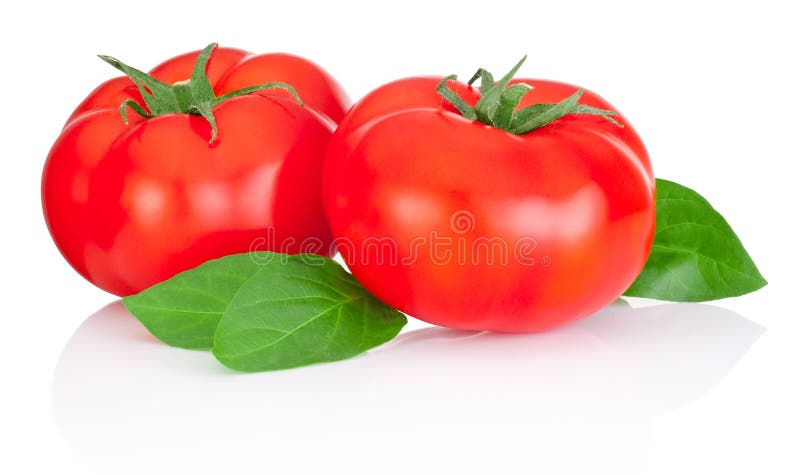 Two Red Tomatoes and Leaves Isolated on White Background Stock Image ...