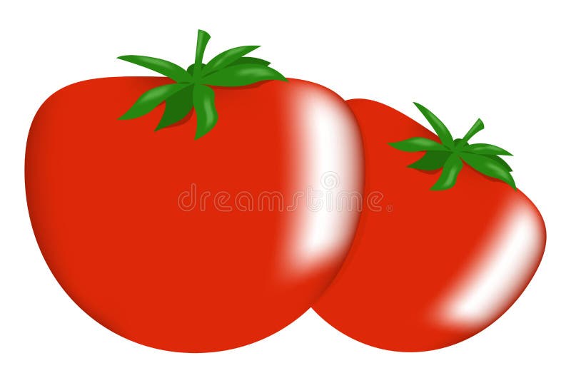 Two red tomatoes stock vector. Illustration of tomato - 67978804
