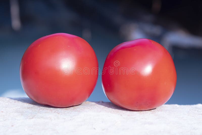 Two Red Tomatoes on a Stone Table in Front of a Blue Stock Image ...