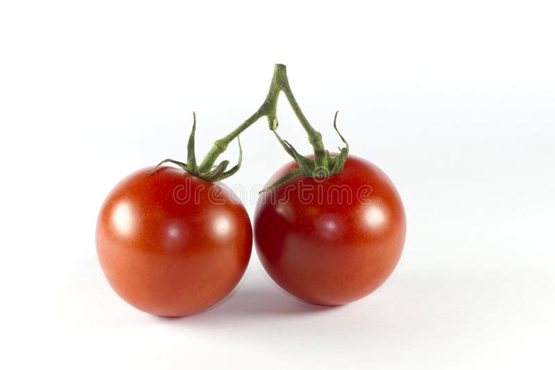 Two Red Tomatoes on the Vine Stock Photo - Image of leaf, green: 25188394