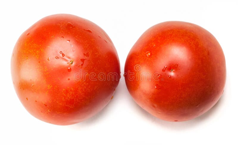Two red tomatoes stock photo. Image of nature, diet, fruit - 91906844