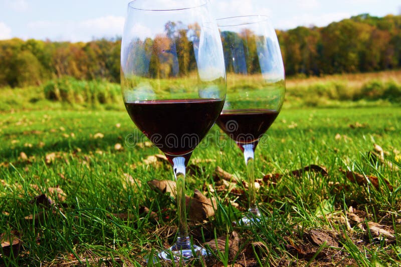 Two Red Wine Glasses in a Field Stock Photo - Image of field, drink ...