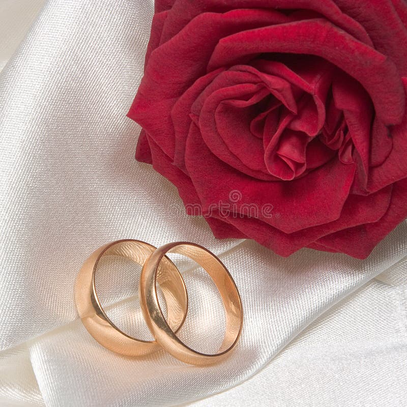 Wedding Rings, Rose and Card Stock Photo - Image of background, fabric ...
