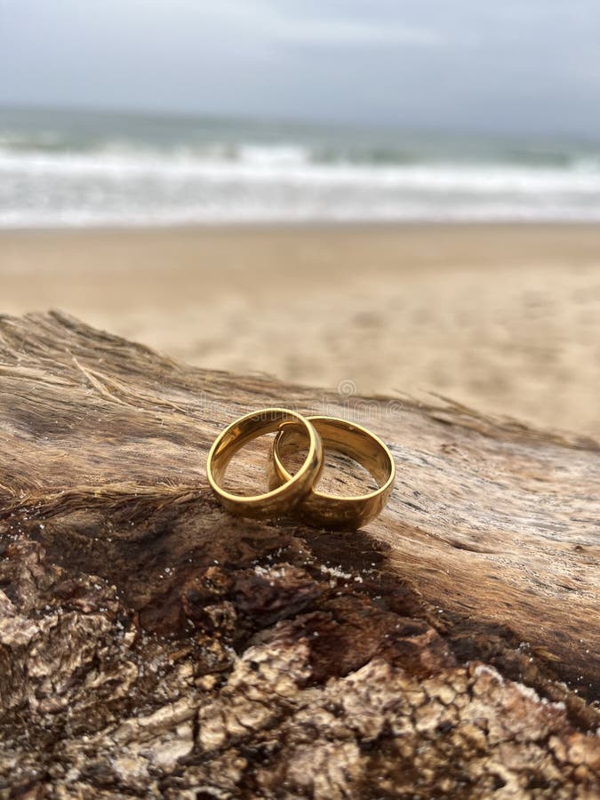 Two Rings on Top of a Tree Trunk and Sea in the Background Stock Photo ...