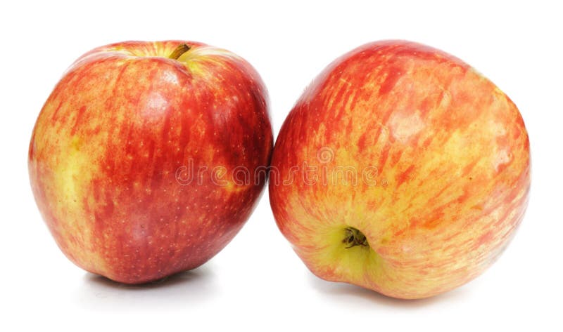 Two ripe apple stock image. Image of freshness, macro - 6959071