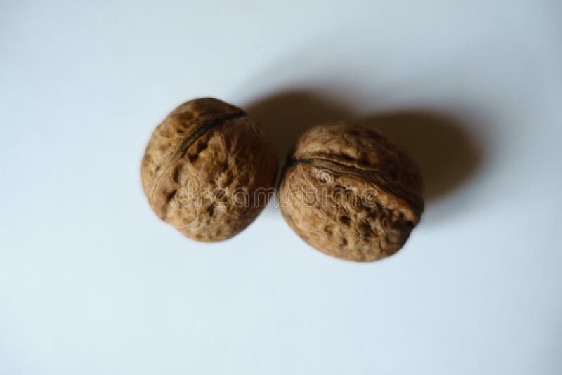 Two Ripe Brown Rounded Fruits of Persian Walnut Stock Photo - Image of ...