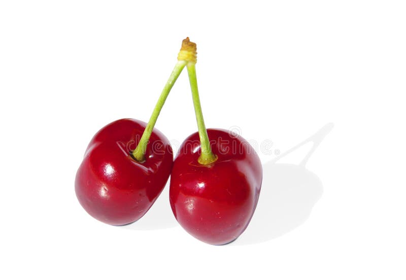 Two Ripe Cherries Isolated on White Background. Stock Image - Image of ...