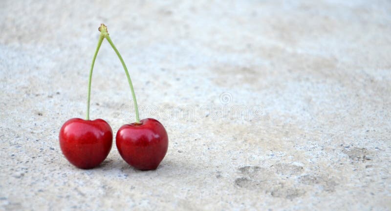 Two Ripe cherries stock image. Image of food, succulent - 42074841