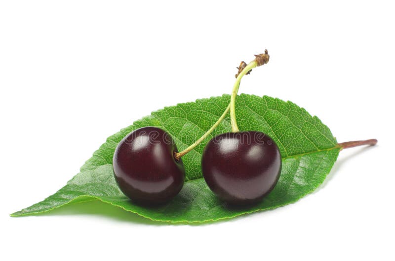 Two ripe cherry stock image. Image of fresh, product - 25650209