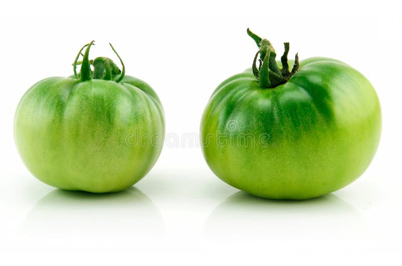 Tomato Growth Evolution Progress Set Isolated on White Background Stock ...