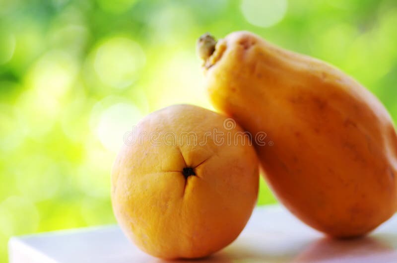 Two ripe papaya on table stock image. Image of grope - 73861441