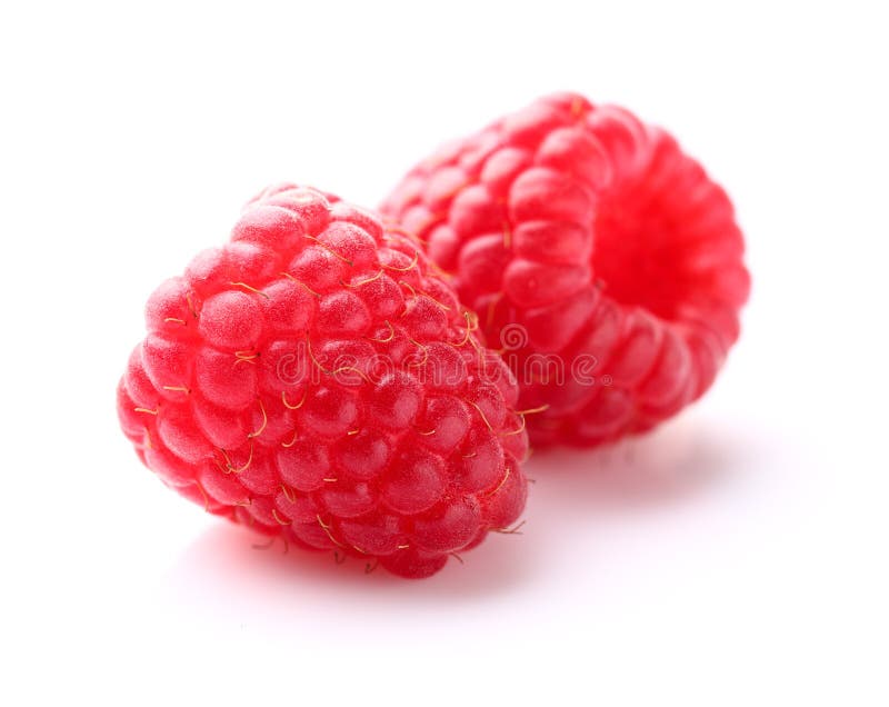 Two ripe raspberries stock photo. Image of raspberry - 33362388