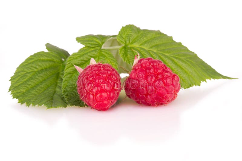 Two Ripe Raspberries with Leaves Stock Photo - Image of flavor, fruit ...