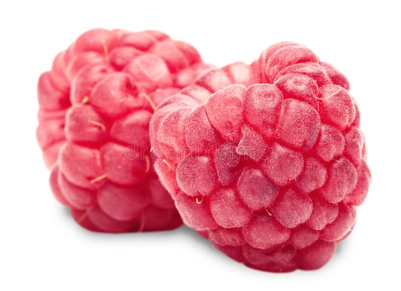 Two ripe raspberry stock image. Image of color, bright - 35084873