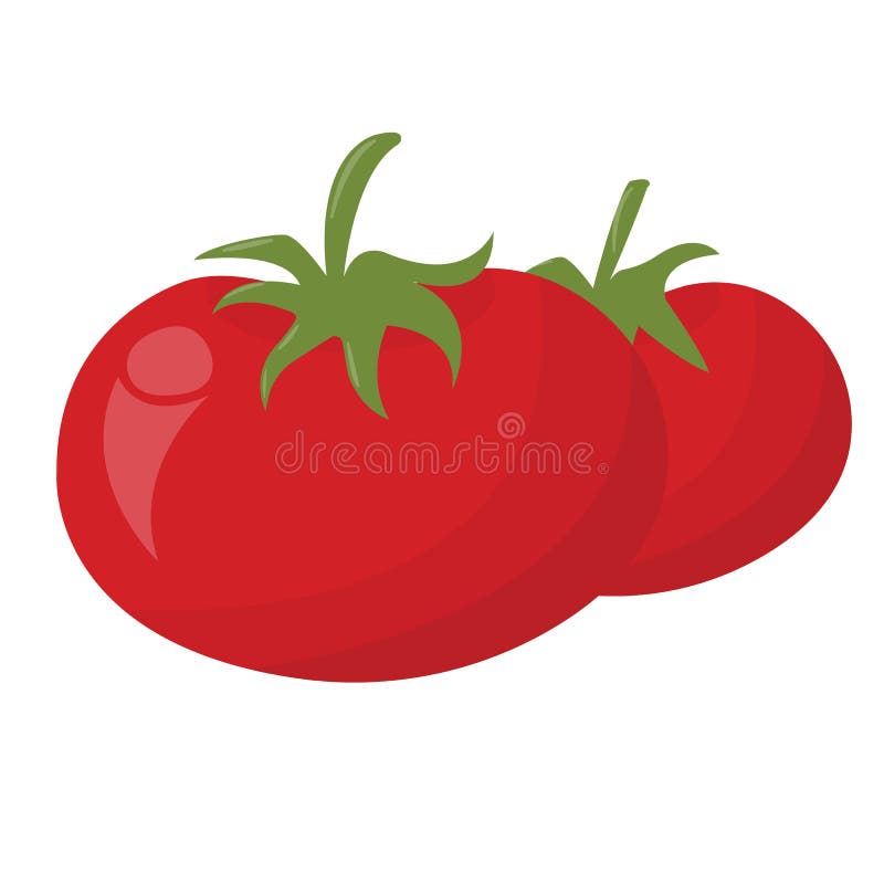 Two ripe red tomatoes. stock vector. Illustration of cartoon - 268303248
