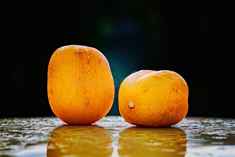 Two Ripe True Lemon Cucumbers on a Wet Surface Stock Image - Image of ...