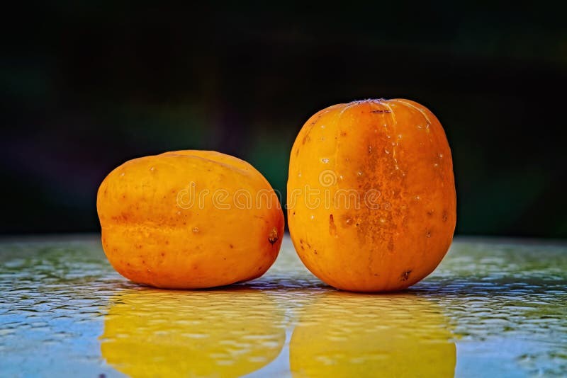 Two Ripe True Lemon Cucumbers on a Wet Surface Stock Photo - Image of ...