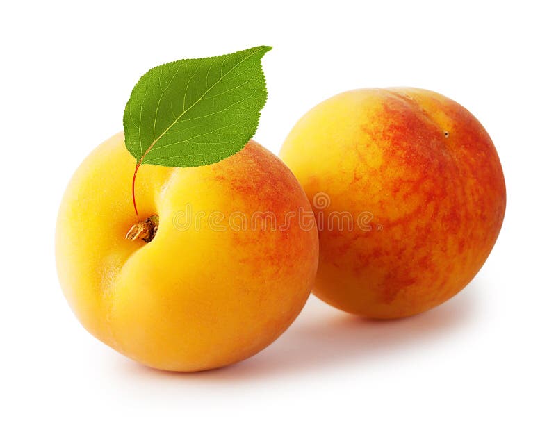 Two Ripe Yellow Apricot with Leaves Stock Image - Image of macro ...