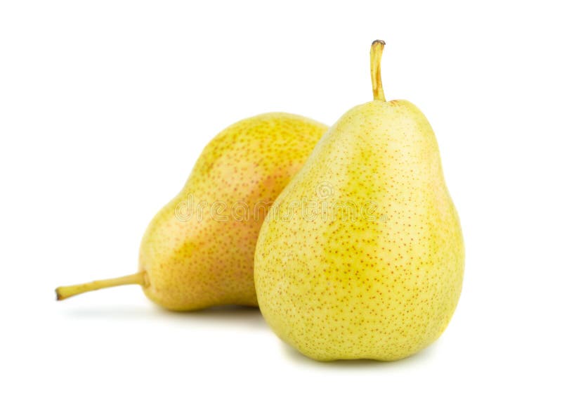 Yellow pears on pear tree stock image. Image of pears - 21001131