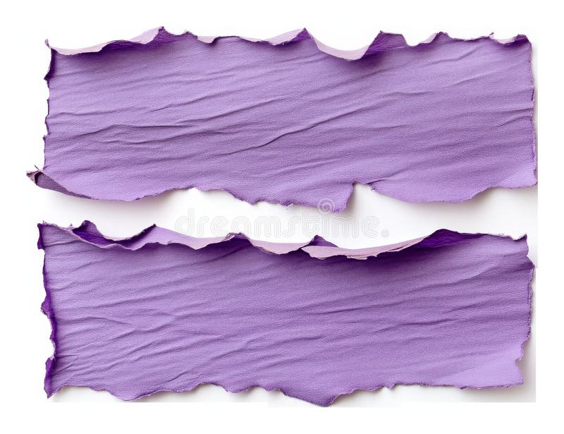 Two Ripped Purple Paper Sheets with Torn Edges on Transparent ...