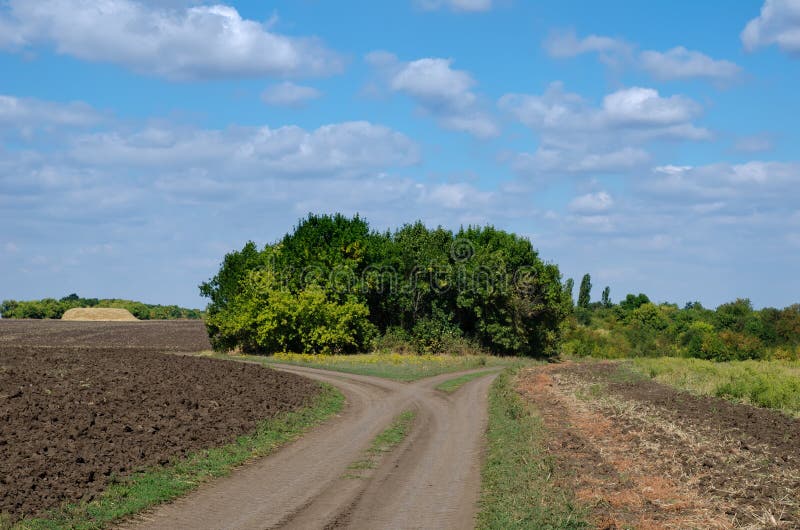 Two roads stock image. Image of brown, agriculture, outdoor - 21579257