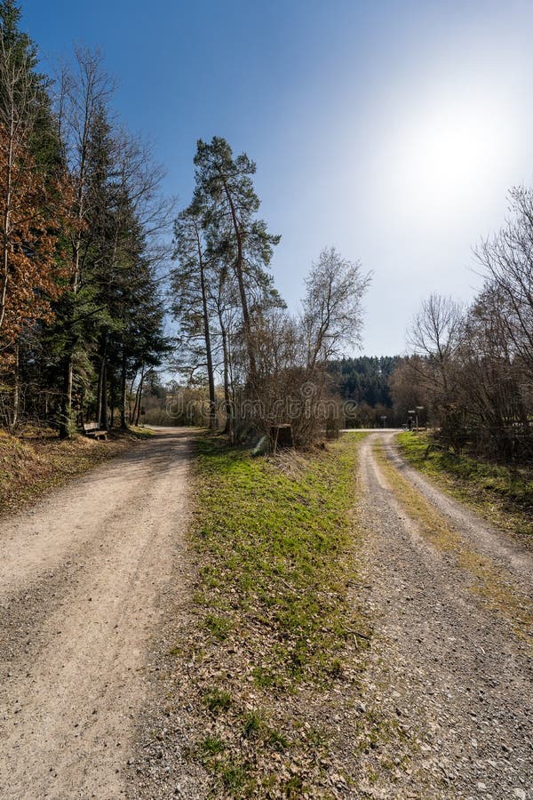 Two Roads through Black Forest Stock Photo - Image of panorama, farming ...